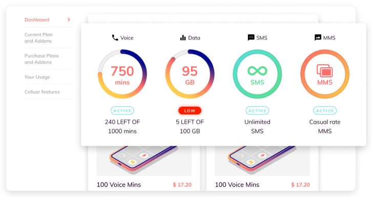 How do I view my usage? – Tello